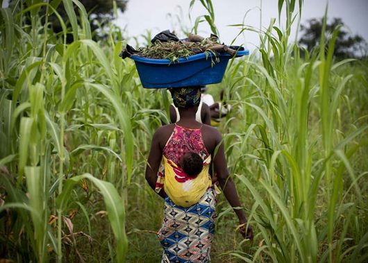 World hunger facts - Action Against Hunger