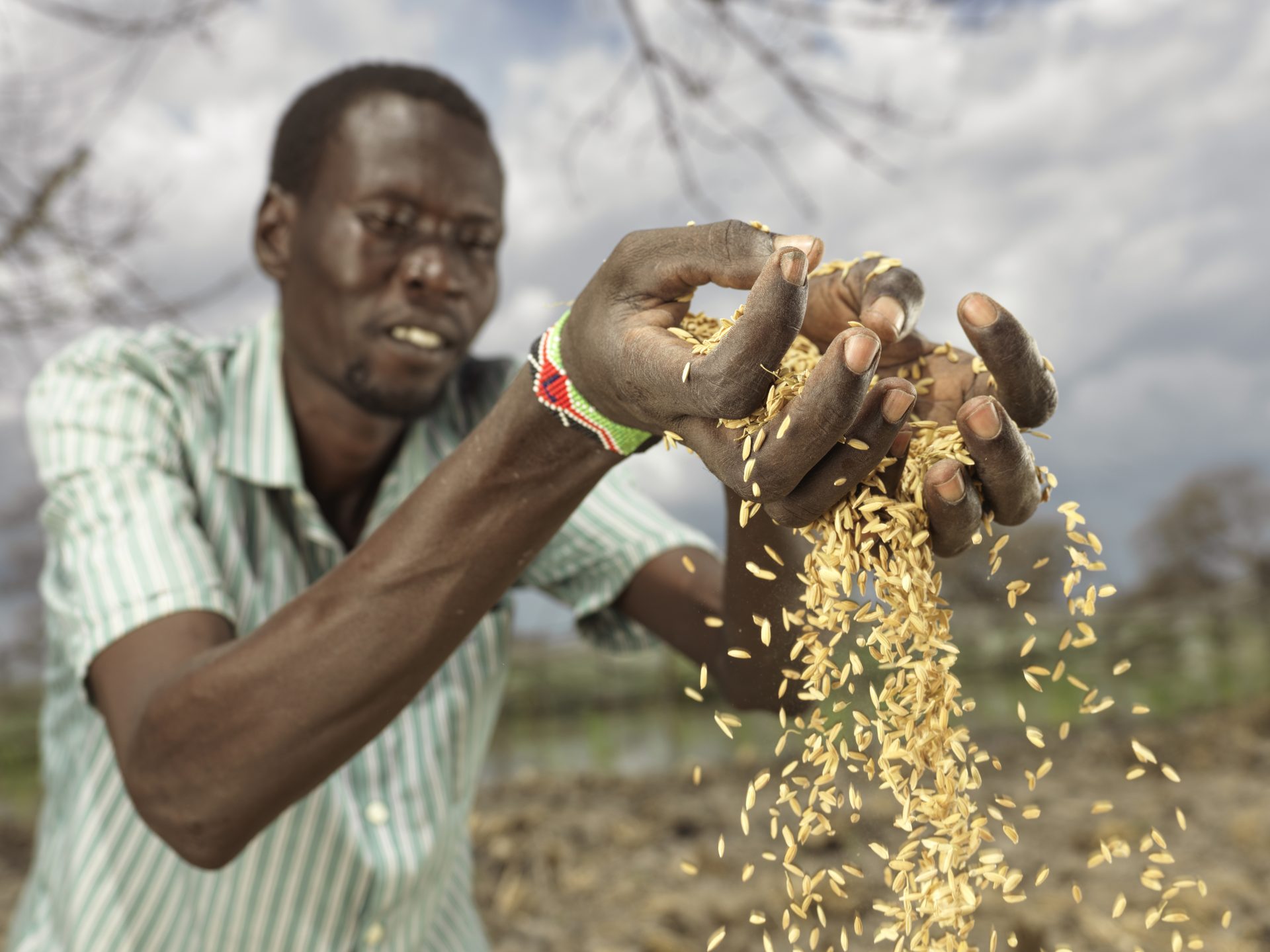 8 crops endangered by climate change - Action Against Hunger