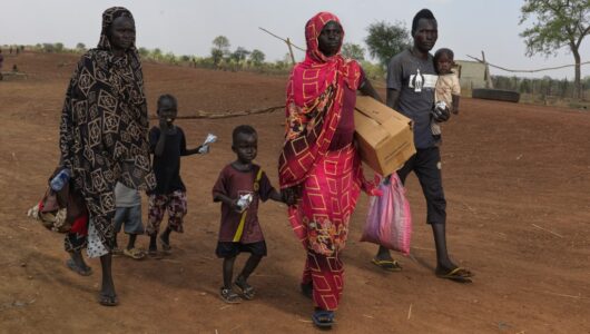 What is famine? Definition, IPC scale and current famines